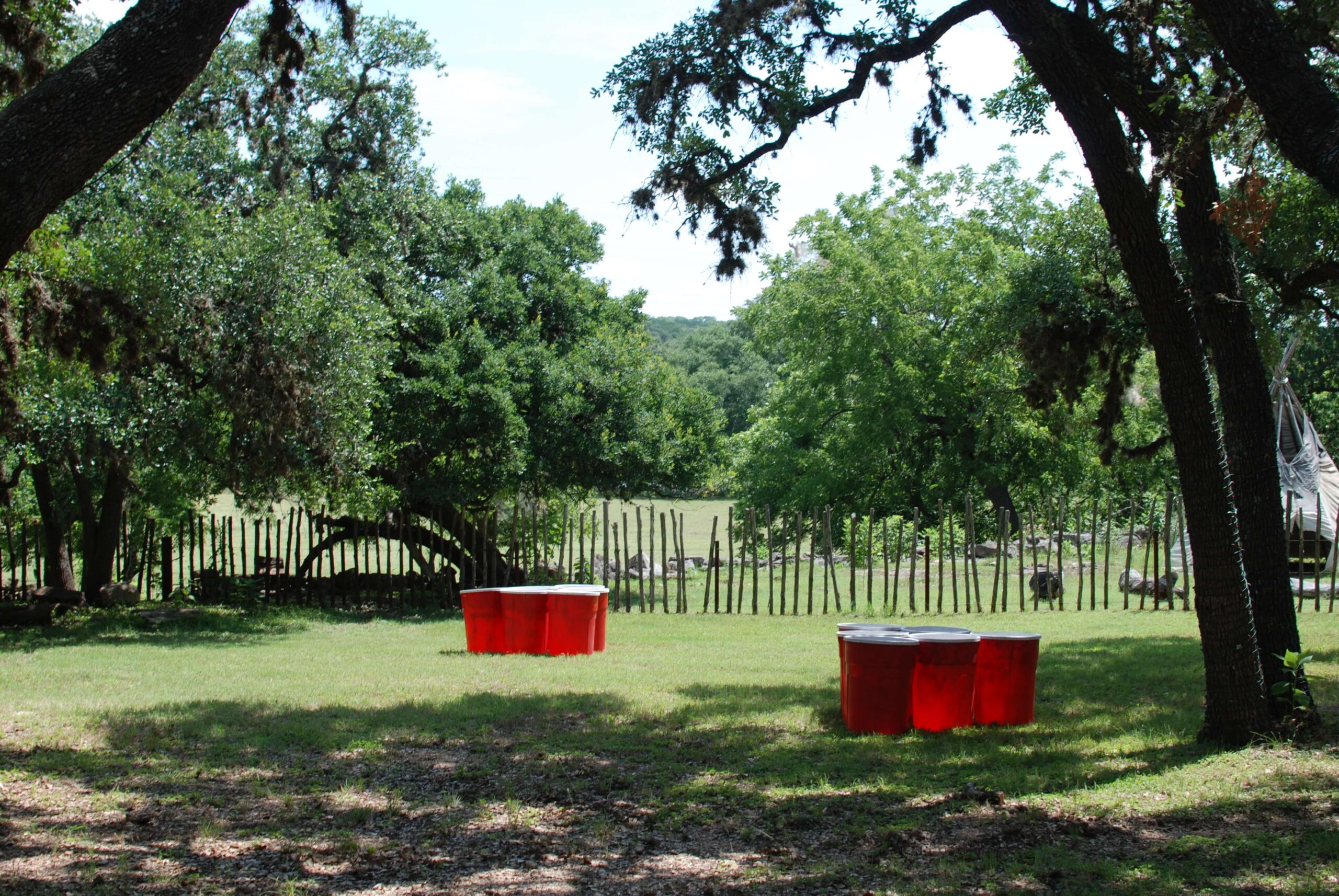 San Antonio Company Picnic Ideas | Enchanted Springs Ranch